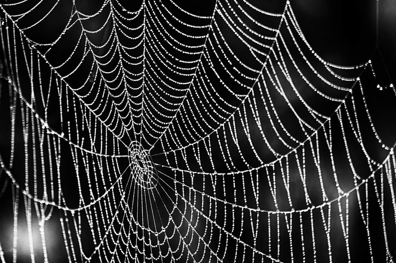¿Qué son las Spiderchains? Las nuevas redes PoS sobre Bitcoin